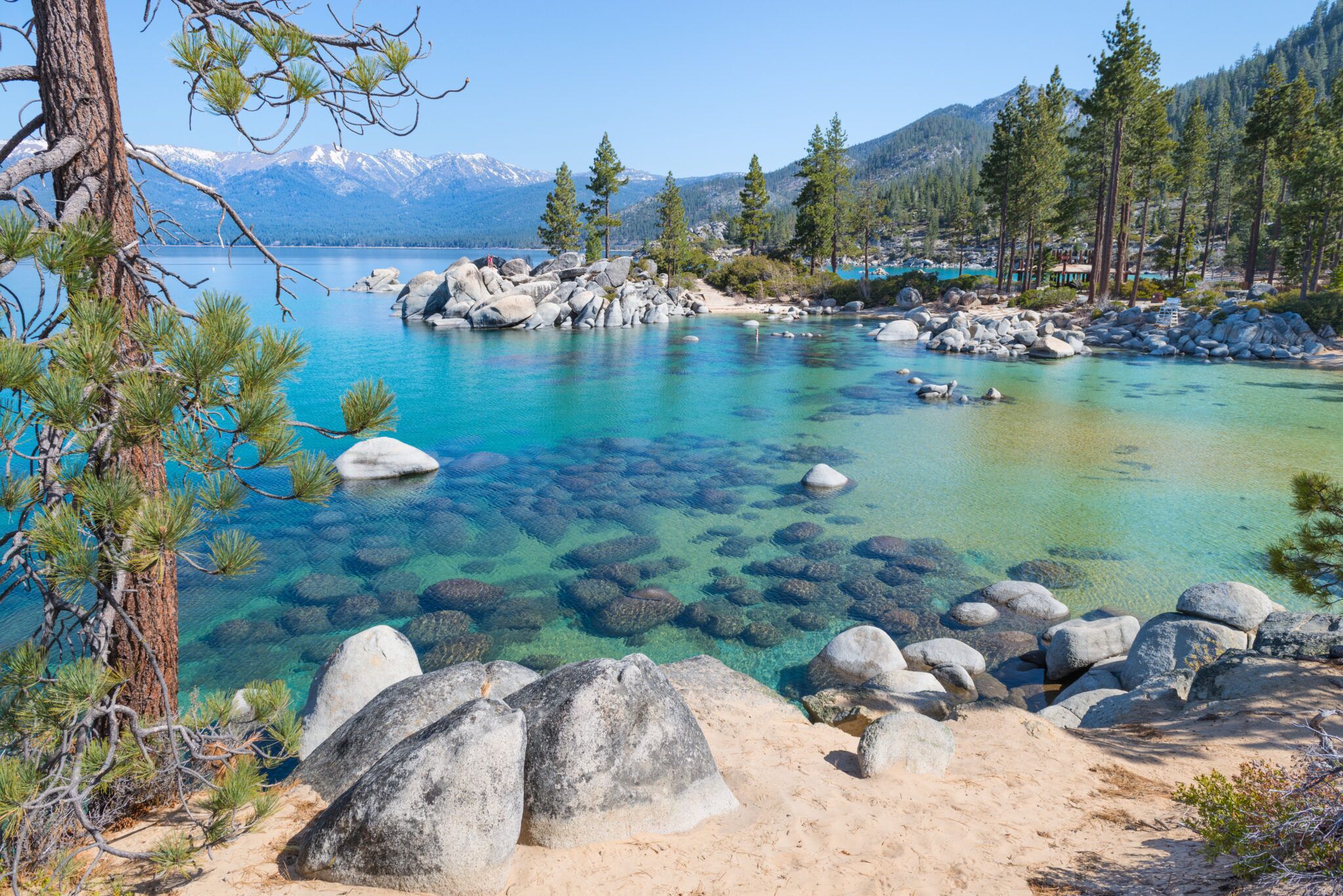Best Summer Hikes in Lake Tahoe & Scenic Trails - Red Wolf Lakeside Lodge